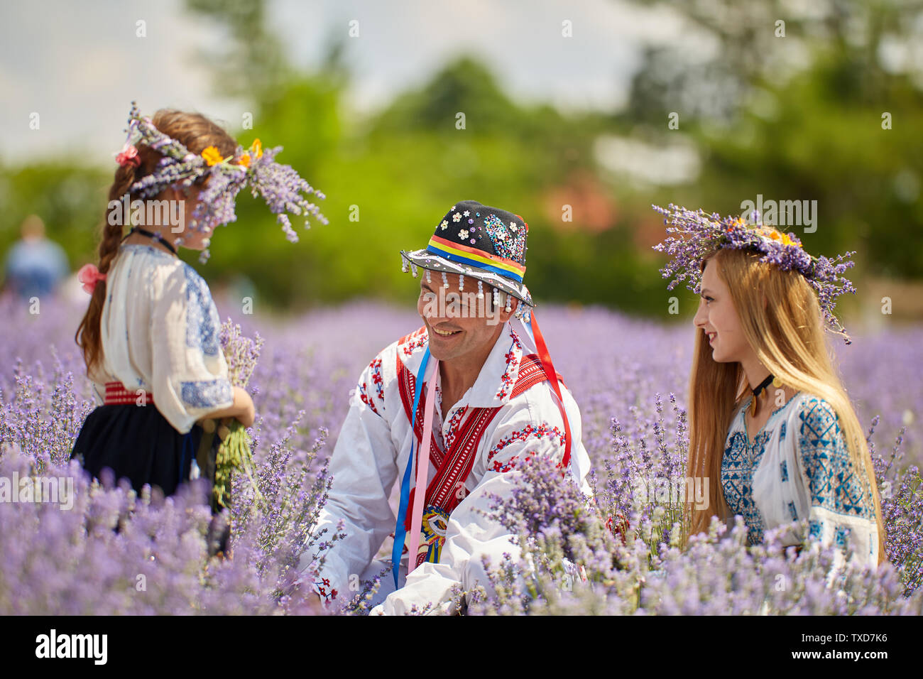 Family in traditional Romanian costume in lavender field Stock Photo ...