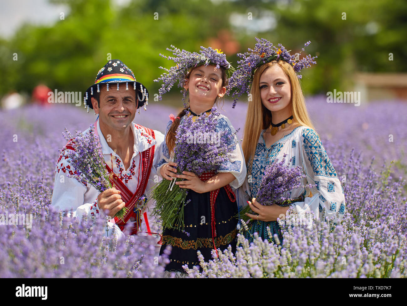 Family in traditional Romanian costume in lavender field Stock Photo ...