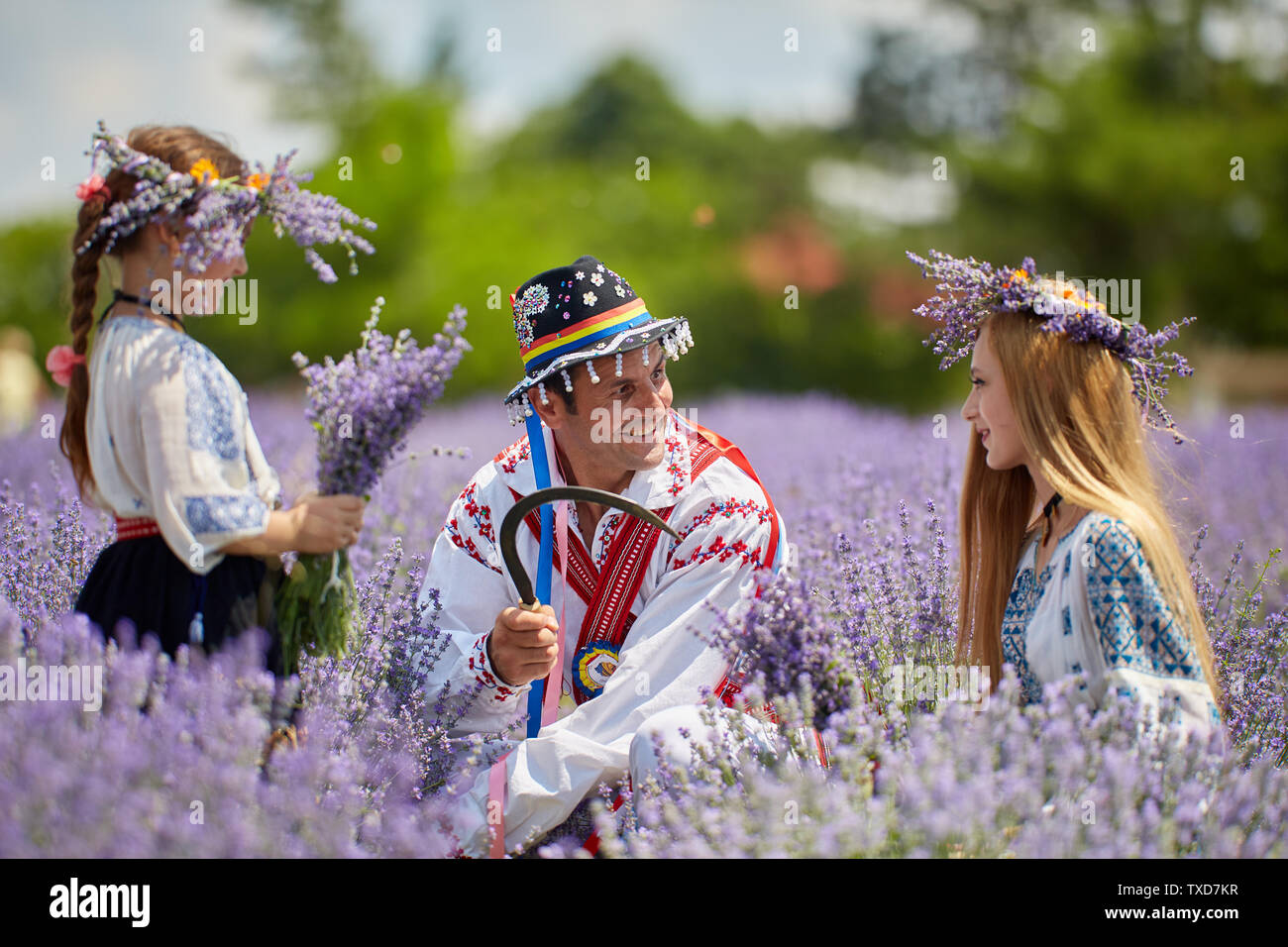 Family in traditional Romanian costume in lavender field Stock Photo ...