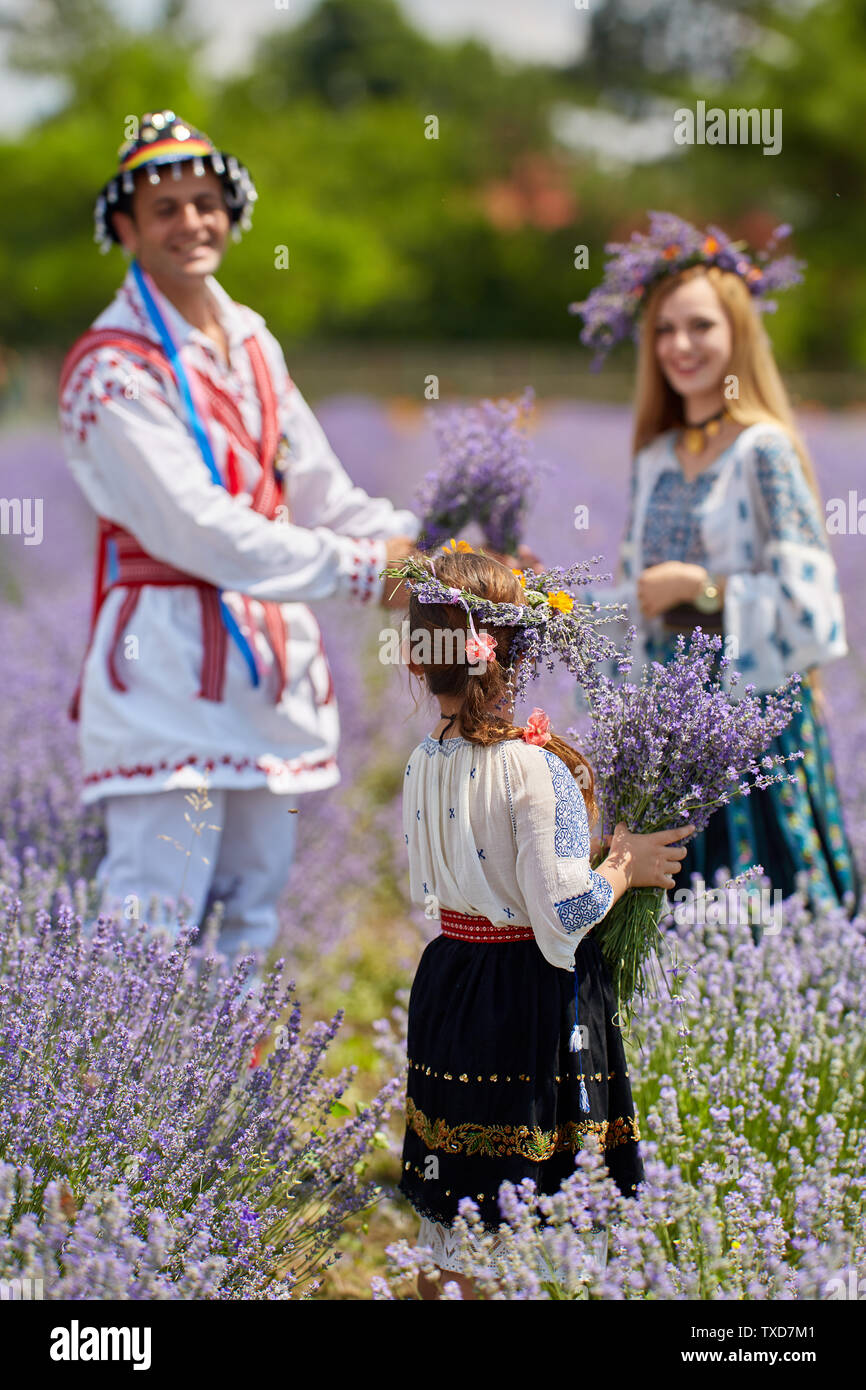 Family in traditional Romanian costume in lavender field Stock Photo ...