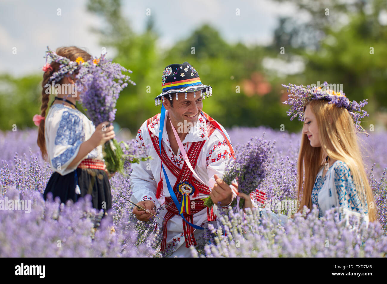 Family in traditional Romanian costume in lavender field Stock Photo ...