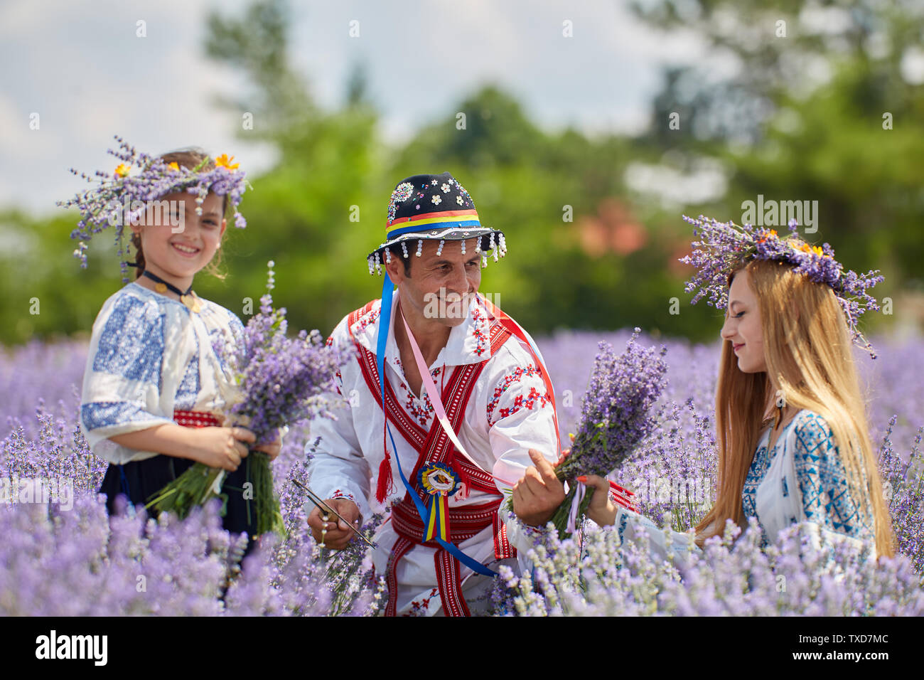 Family in traditional Romanian costume in lavender field Stock Photo ...