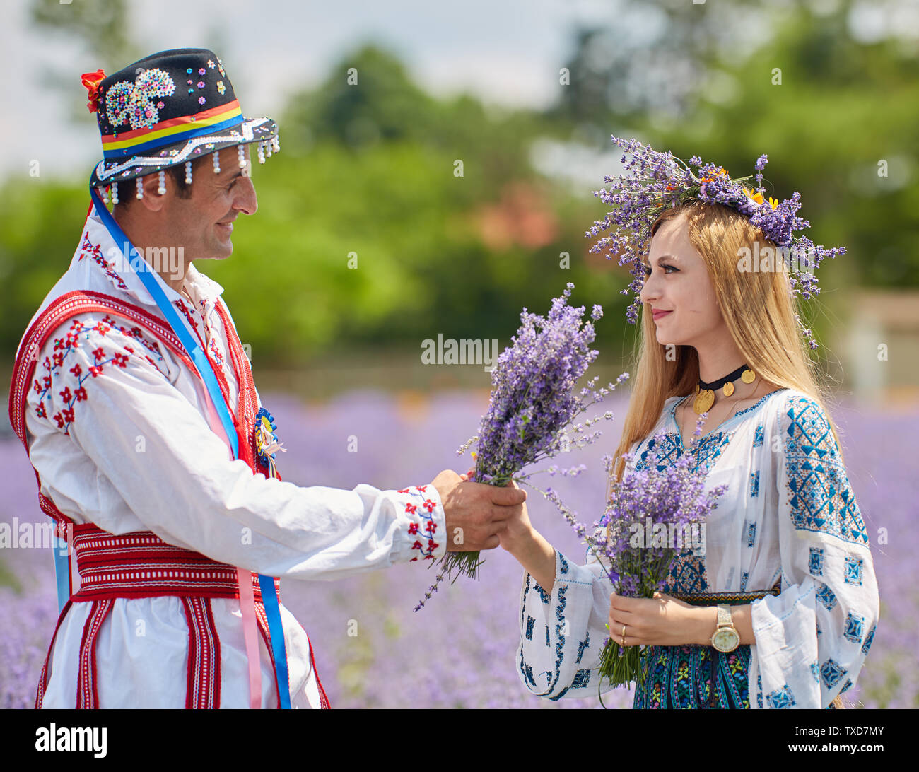 Family in traditional Romanian costume in lavender field Stock Photo ...