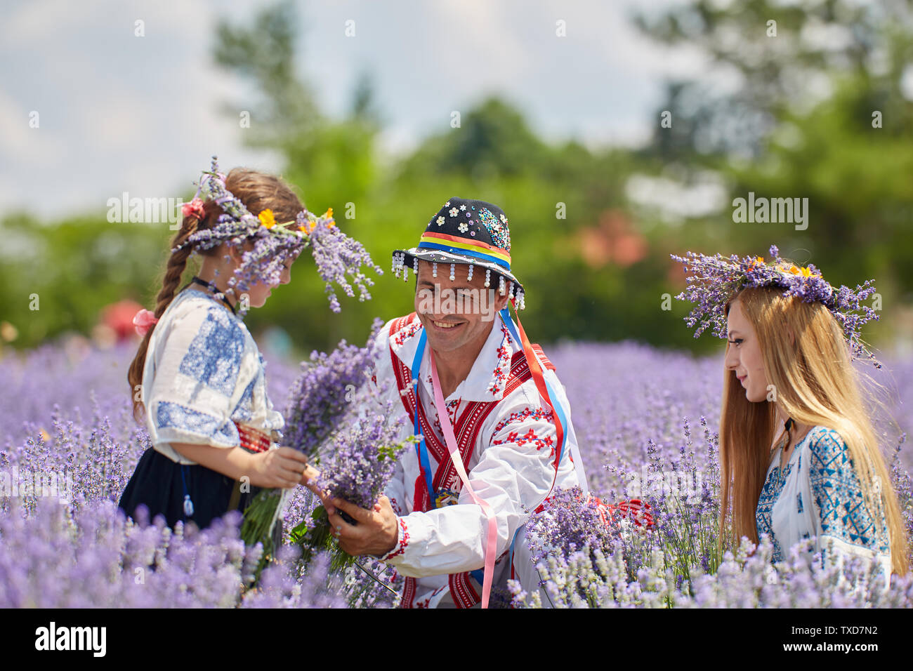 Family in traditional Romanian costume in lavender field Stock Photo ...