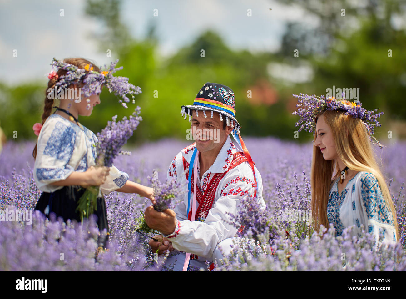 Family in traditional Romanian costume in lavender field Stock Photo ...
