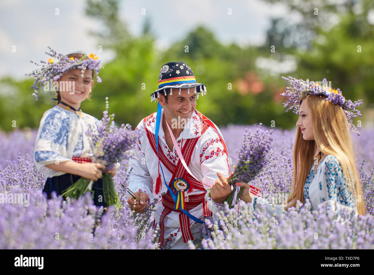 Family in traditional Romanian costume in lavender field Stock Photo ...