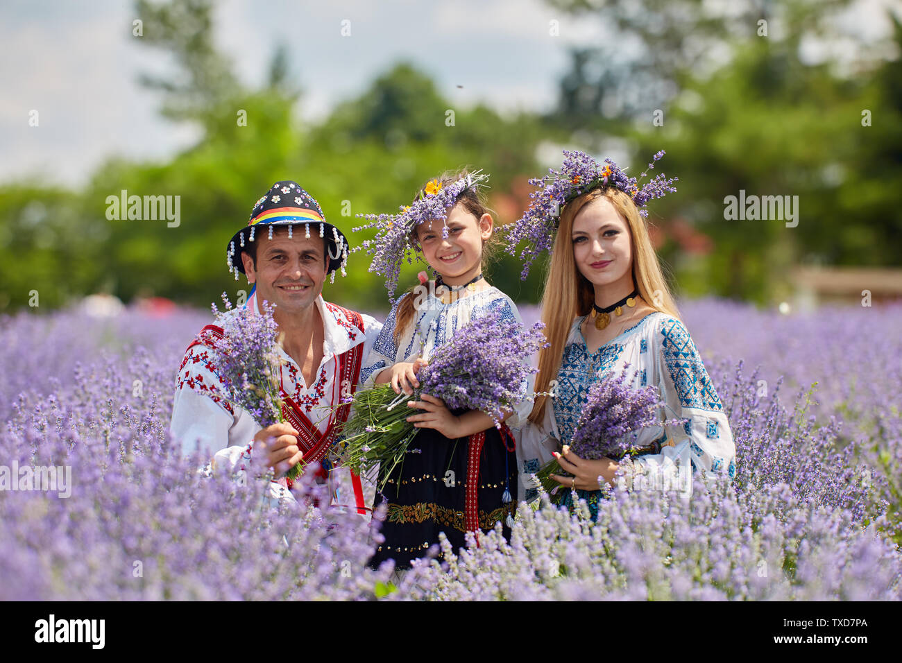 Family in traditional Romanian costume in lavender field Stock Photo ...