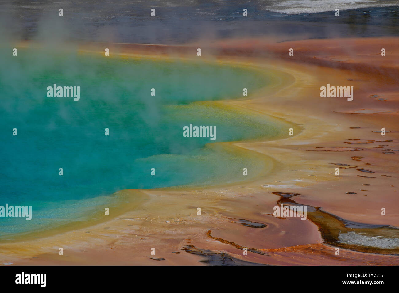 Grand Prismatic Spring view from the Trail head Overlook Stock Photo ...