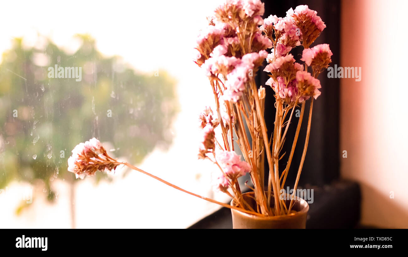 A small plant pot displayed in the window. Bouquet of flowers near ...