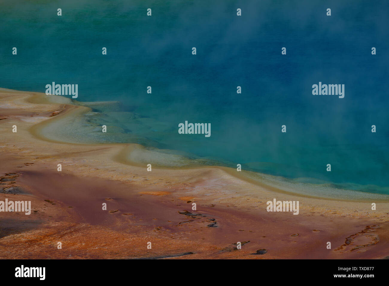 Grand Prismatic Spring view from the Trail head Overlook Stock Photo ...