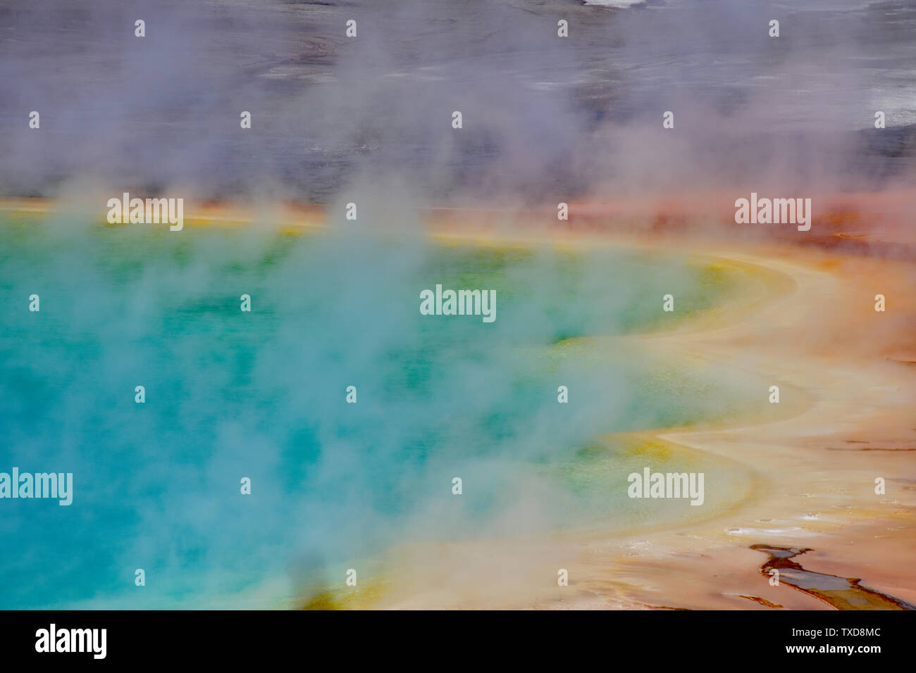 Grand Prismatic Spring view from the Trail head Overlook Stock Photo ...