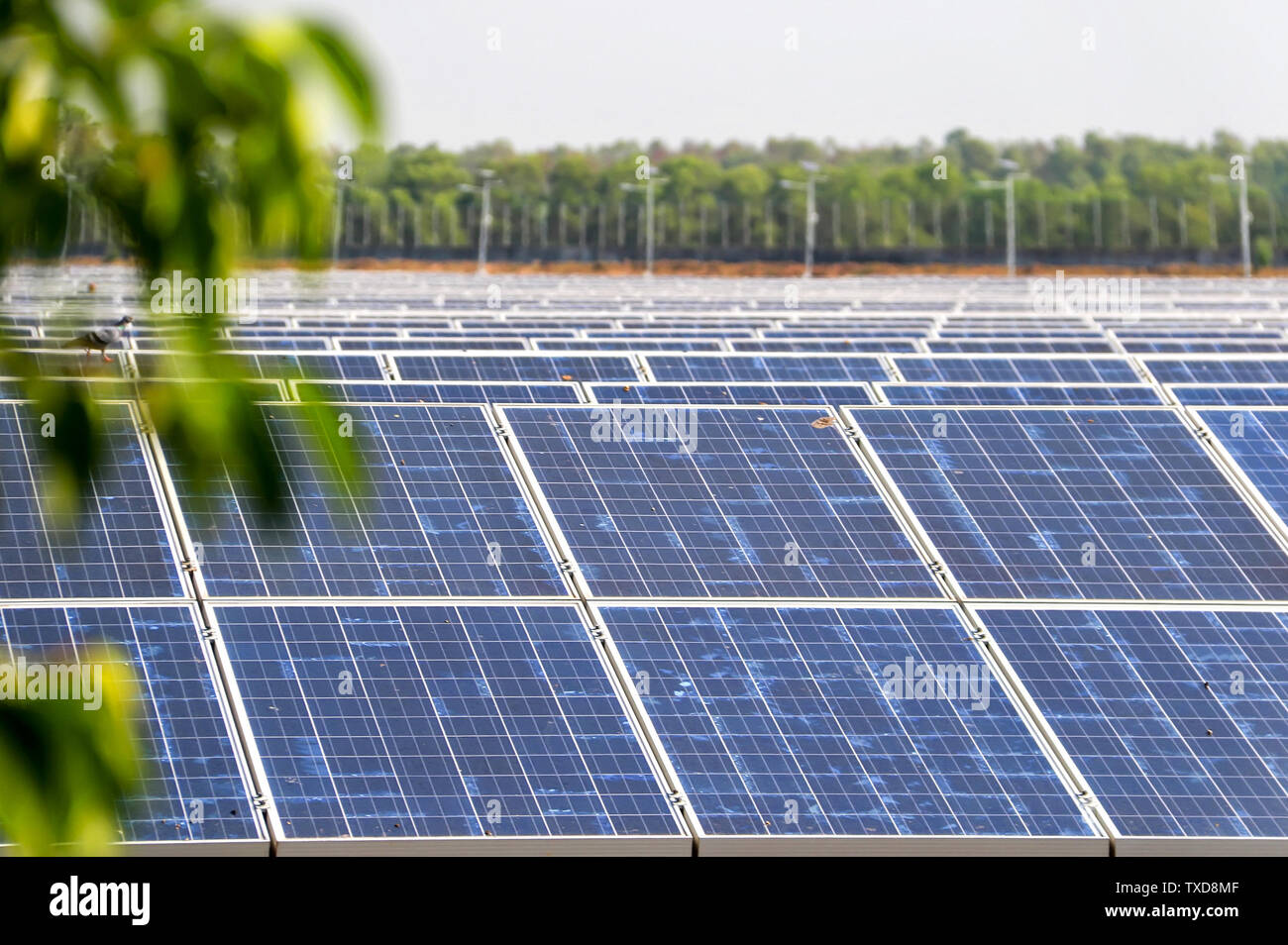 Eco power, Photovoltaic, Alternative electricity source, Solar panel ...