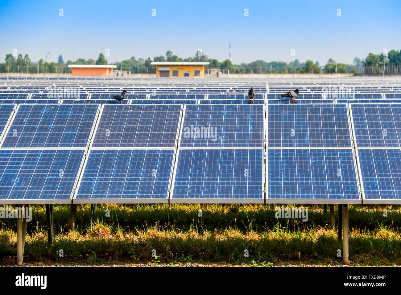 Eco power, Photovoltaic, Alternative electricity source, Solar panel ...