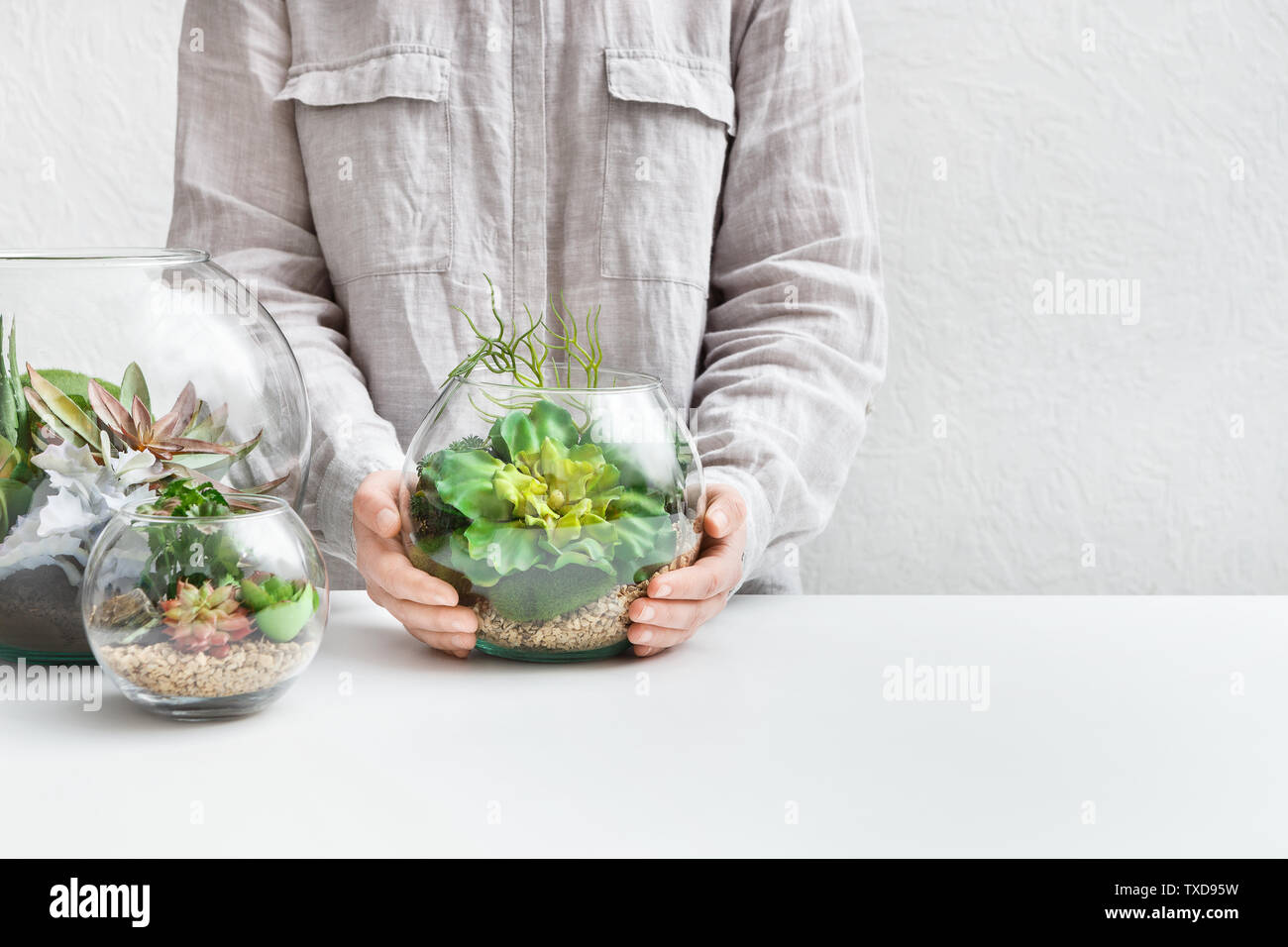 Woman's hands holding mini succulent garden in glass florarium vase ...