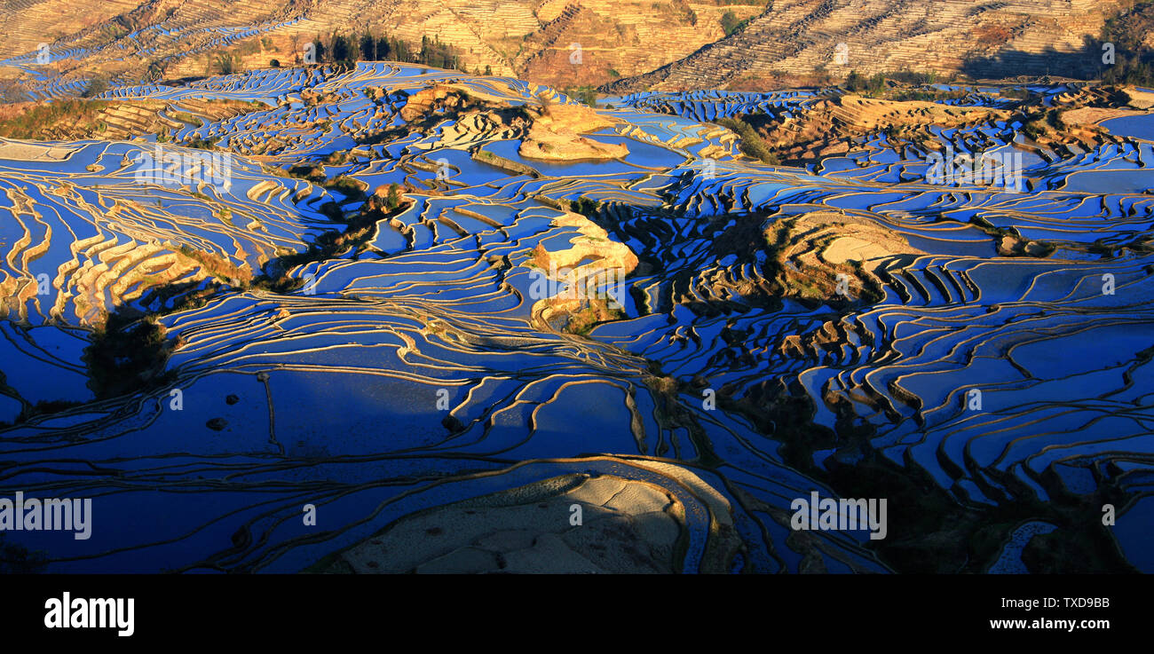 blue terraced fields Stock Photo - Alamy