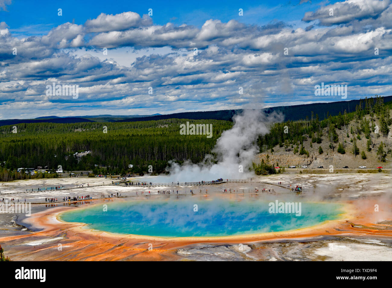 Grand Prismatic Spring view from the Trail head Overlook Stock Photo ...