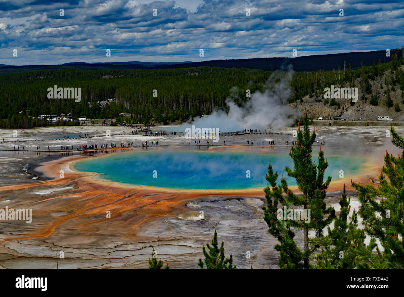 Grand Prismatic Spring view from the Trail head Overlook Stock Photo ...