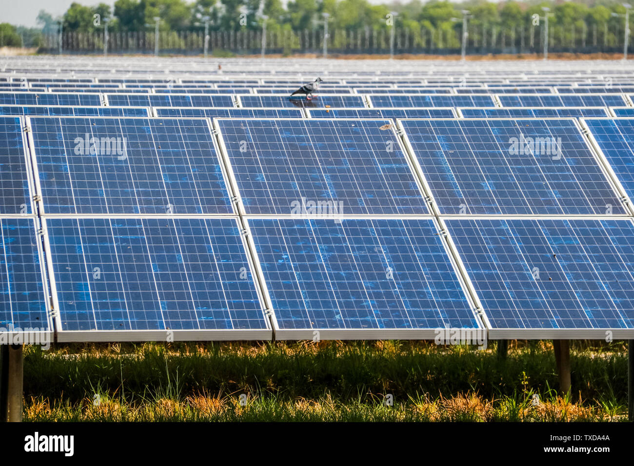 Eco power, Photovoltaic, Alternative electricity source, Solar panel ...