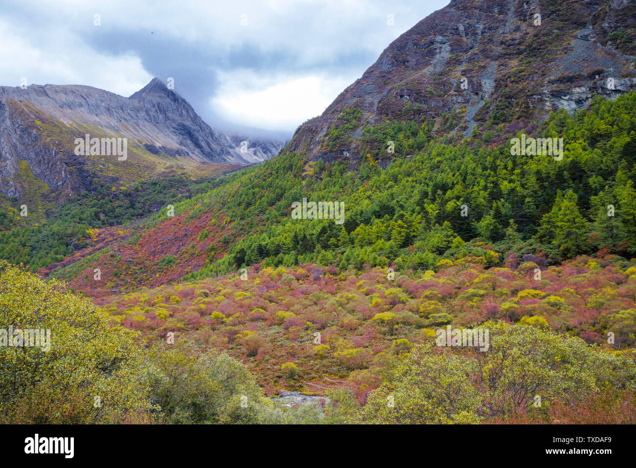 The original ecology hi-res stock photography and images - Alamy