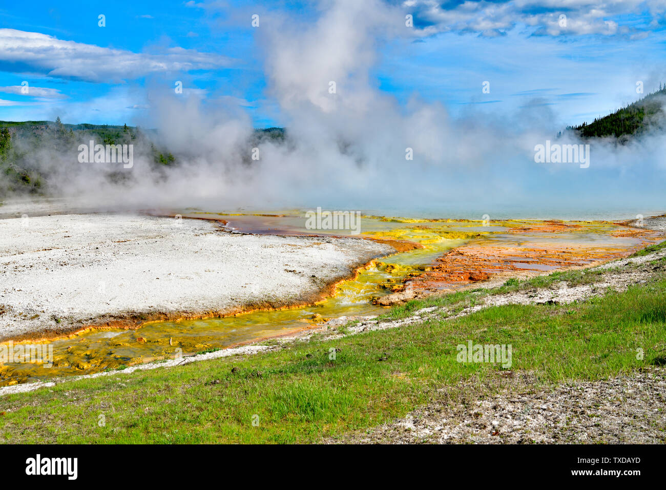 Salt, Minerals, and the Fragile Landscape at Grand Prismatic Stock ...
