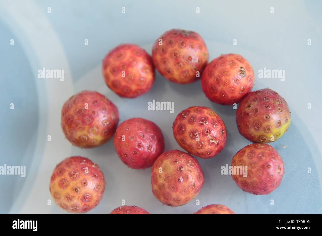 Rural wild lychee nutrition health ecological mountain goods Stock ...