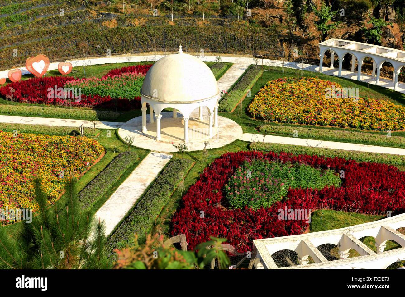 Flower Sea Promenade Stock Photo - Alamy