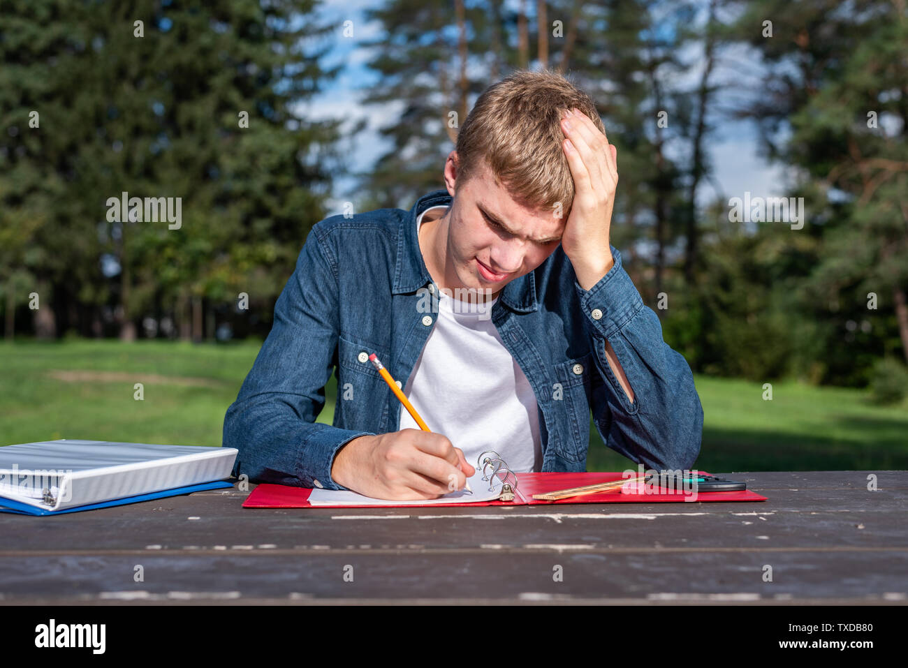 Confused teenager doing his homework alone in a park Stock Photo - Alamy