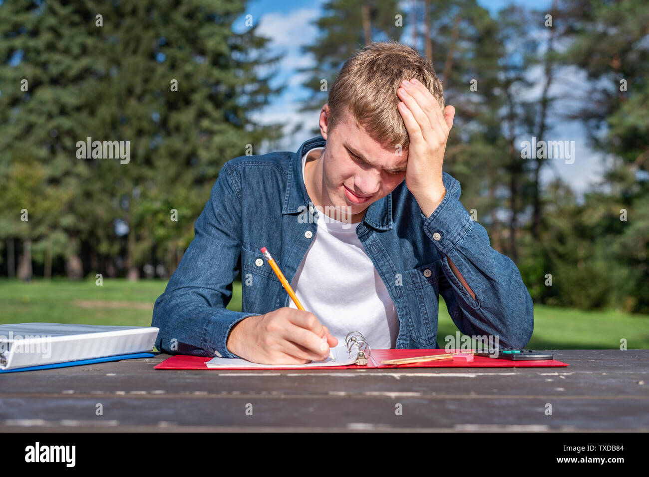 Confused teenager doing his homework alone in a park Stock Photo - Alamy
