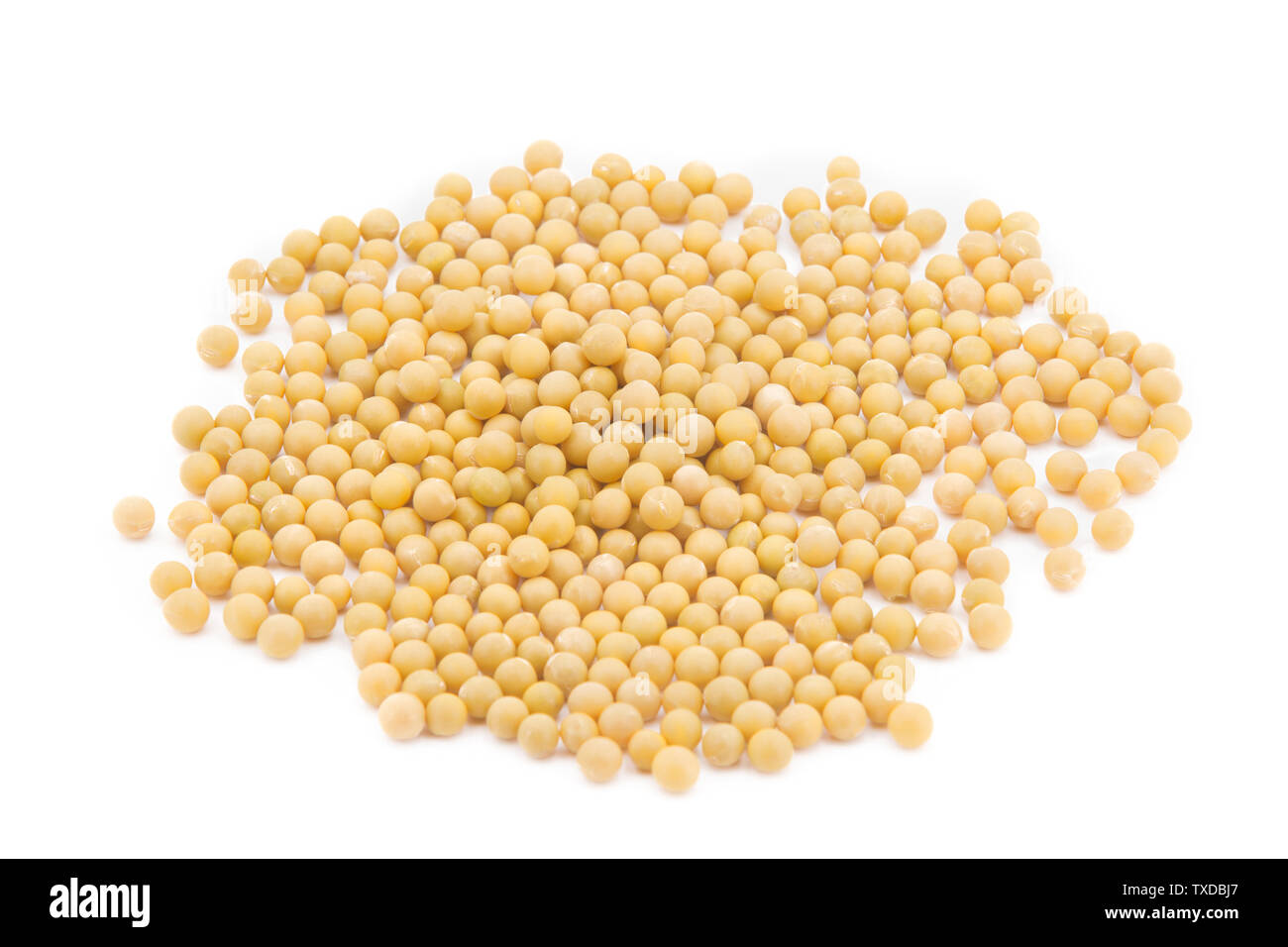 Soybeans on white background Stock Photo - Alamy