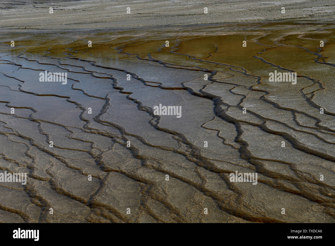 Salt, Minerals, and the Fragile Landscape at Grand Prismatic Stock ...