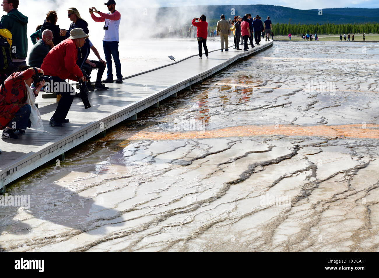 Salt, Minerals, and the Fragile Landscape at Grand Prismatic Stock ...
