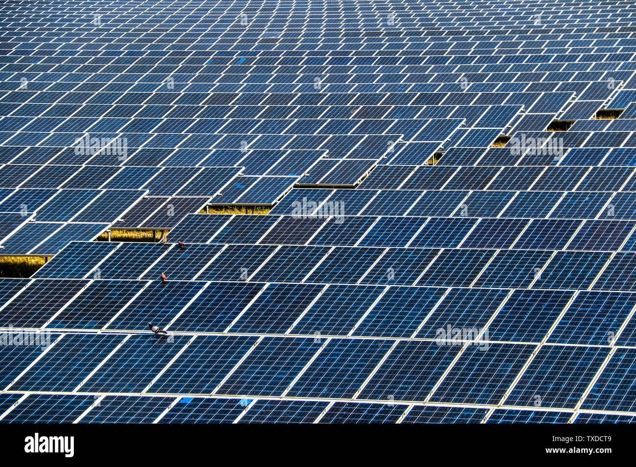 Eco power, Photovoltaic, Alternative electricity source, Solar panel ...