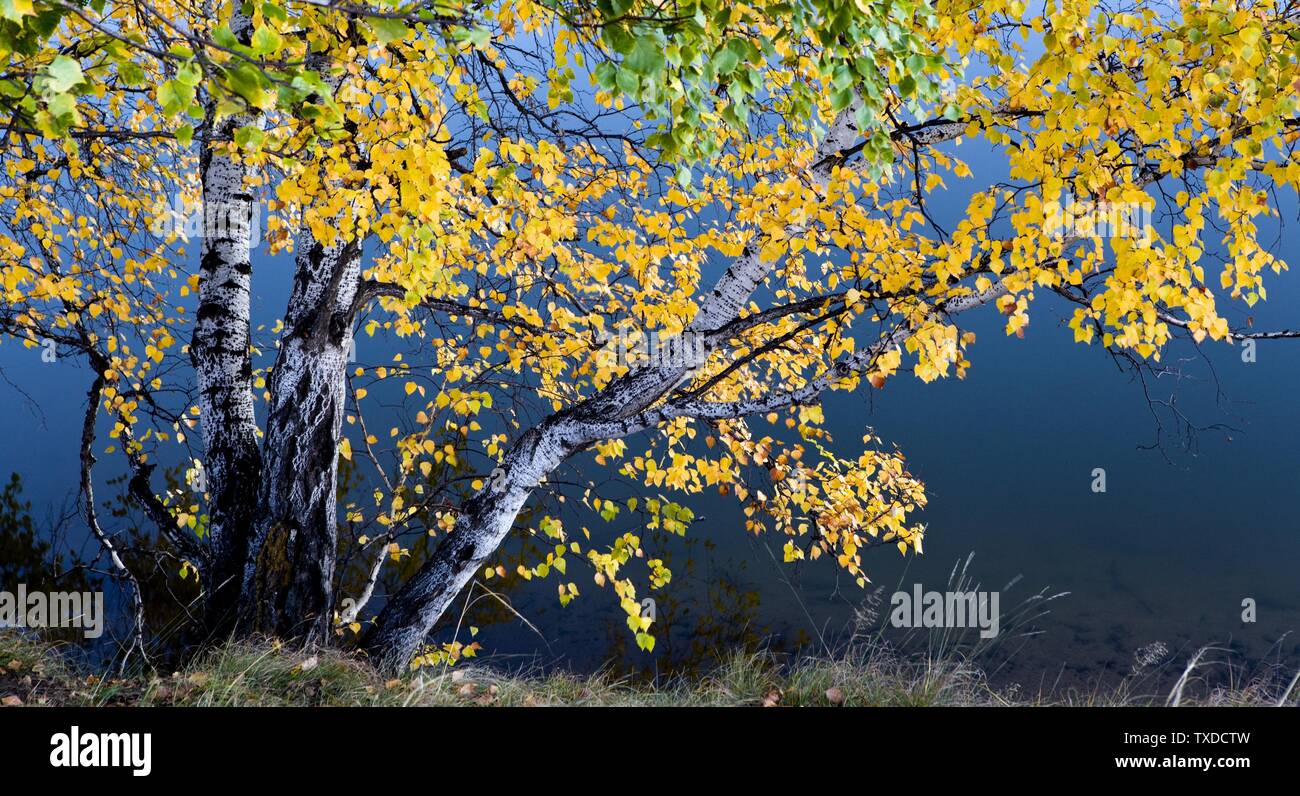 Dam, scenery, tourism, autumn colors Stock Photo - Alamy