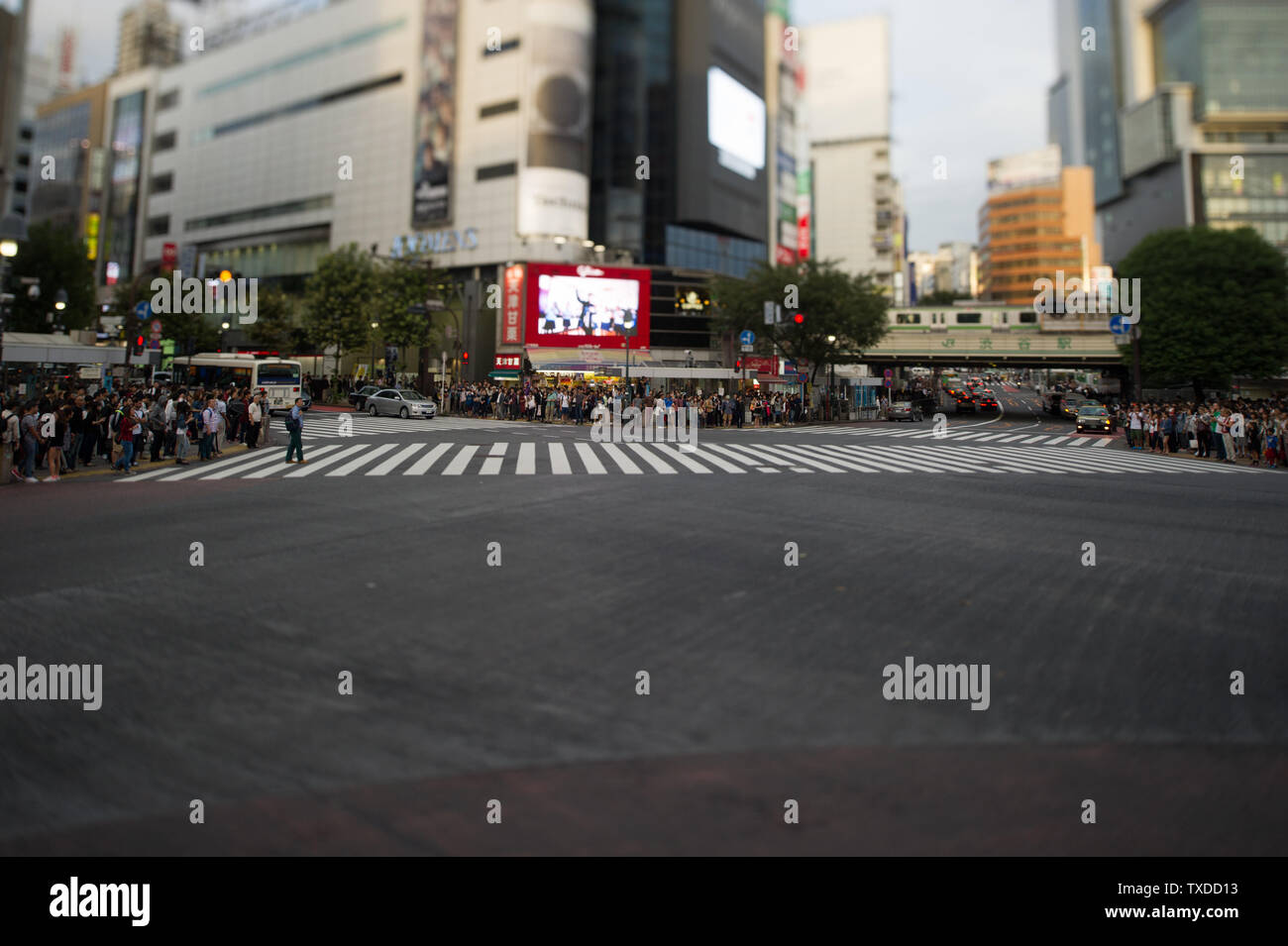 Shibuya Crossing in Tokyo, Japan, is famous for it's extremely busy scramble crosswalk, with ...
