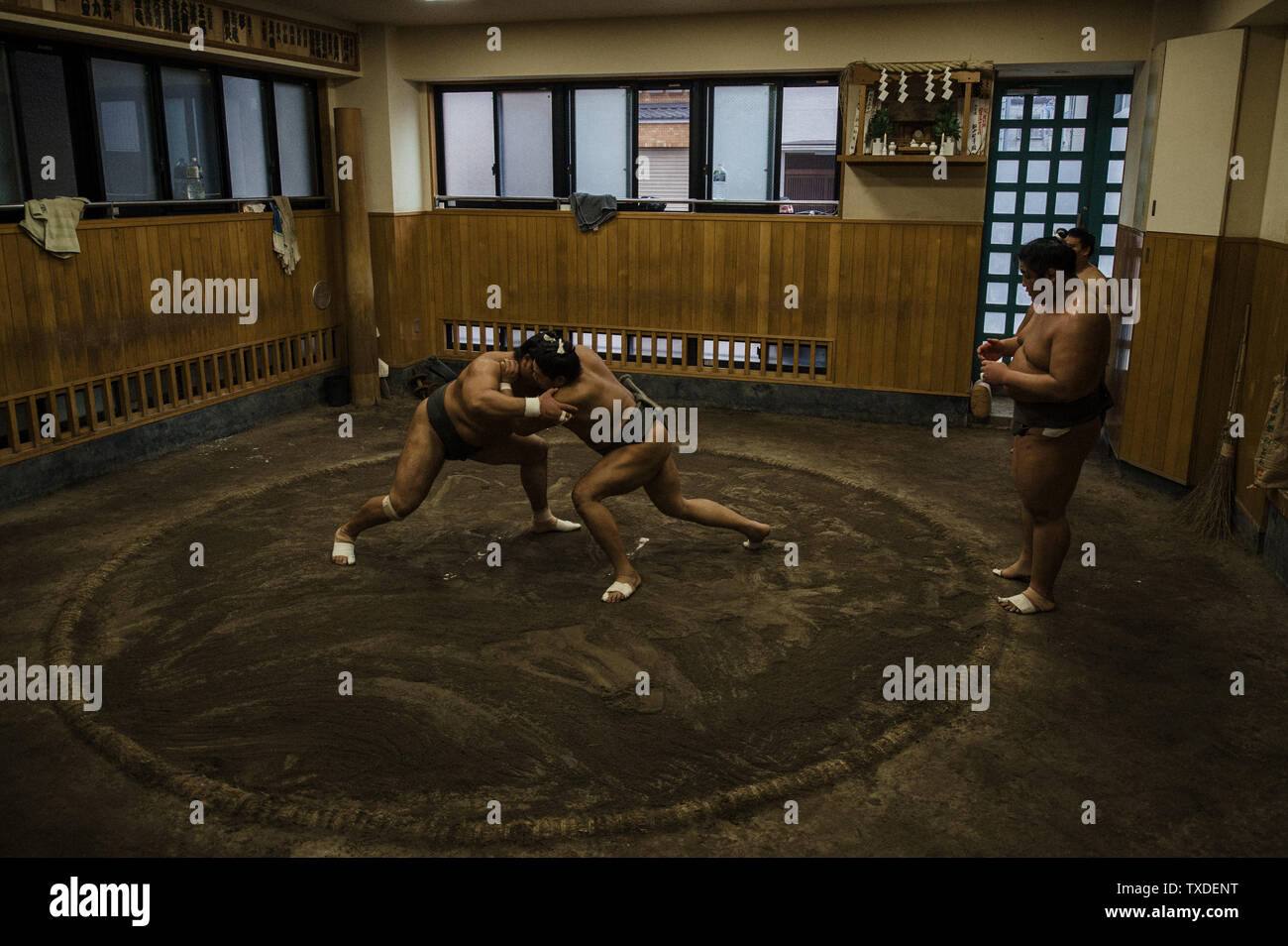 Sumo wrestler hi-res stock photography and images - Alamy
