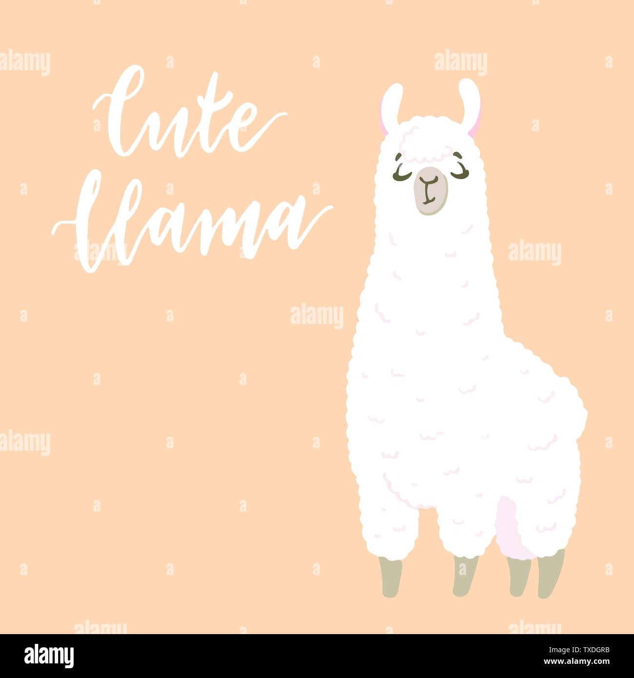 Cute Llamas Tumblr
