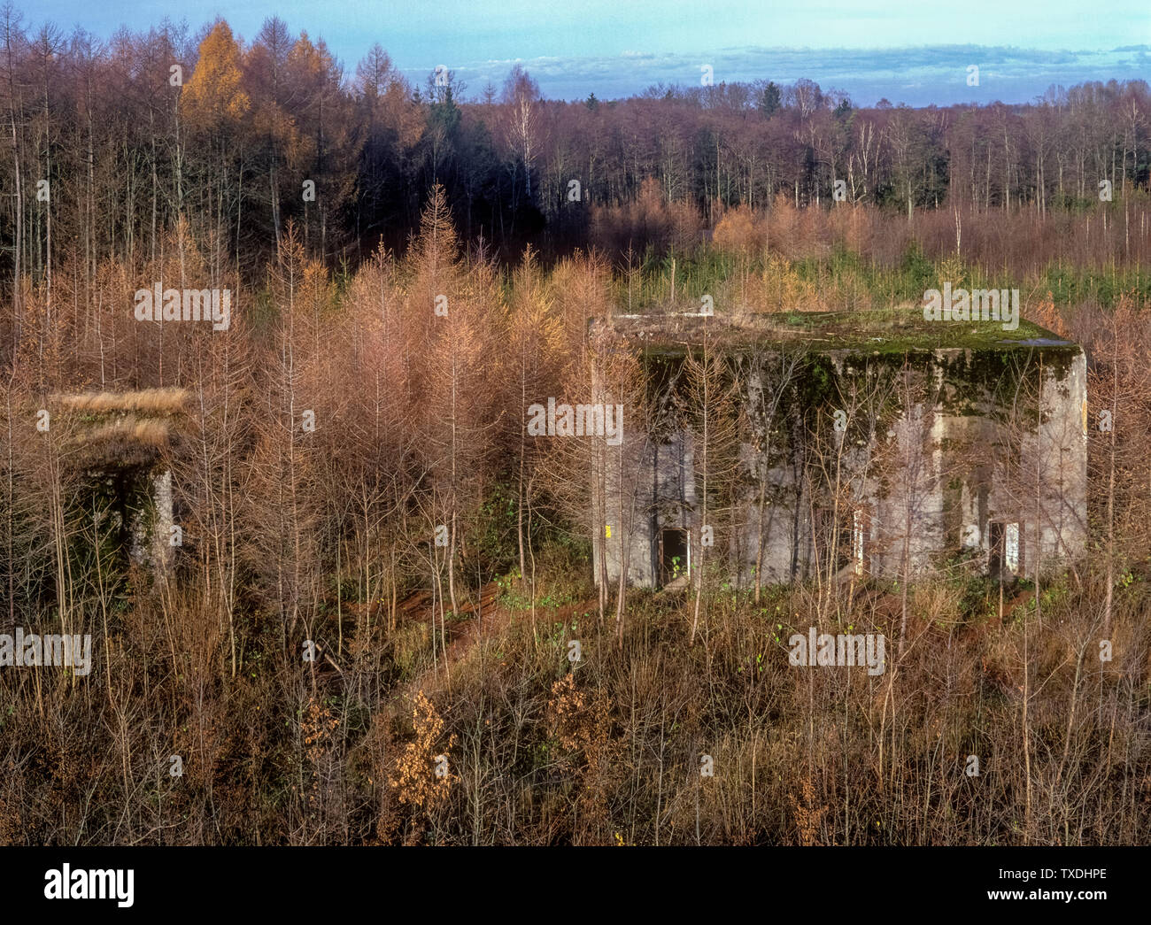 Mamerki, poland hi-res stock photography and images - Alamy