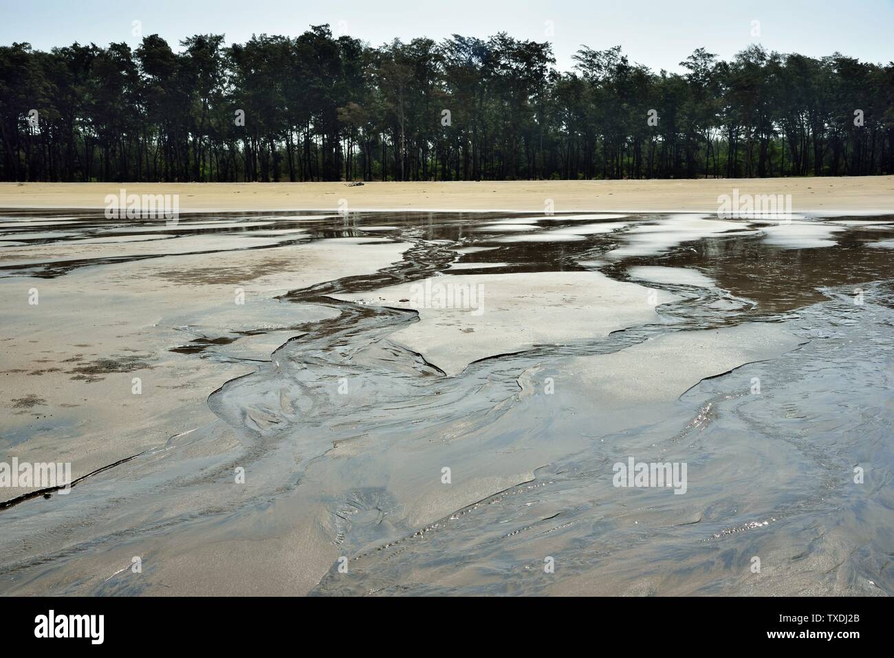 Water flowing, black sand, Nargol Beach, Valsad, Gujarat, India, Asia ...
