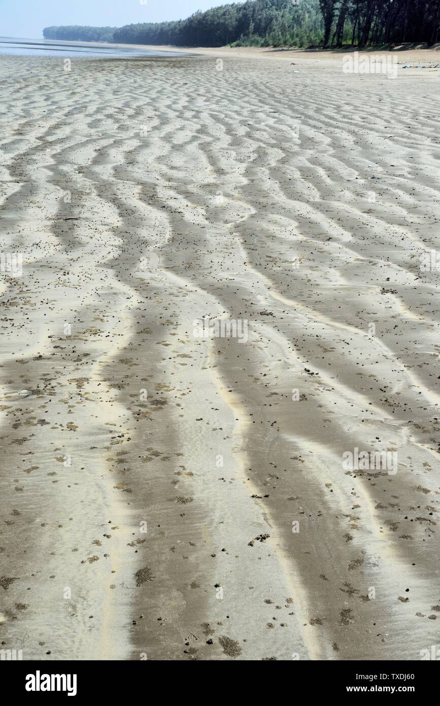 Sand pattern, Nargol Beach, Valsad, Gujarat, India, Asia Stock Photo ...