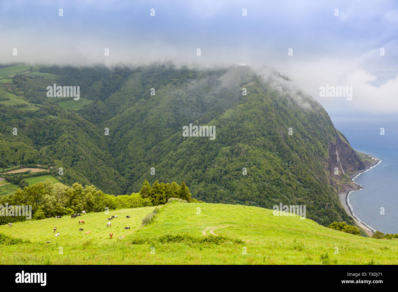No vegetation island hi-res stock photography and images - Alamy