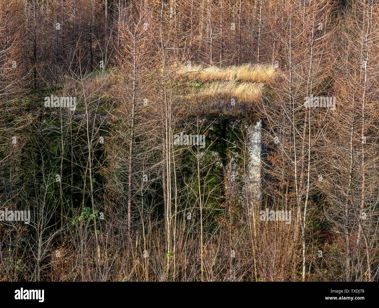 Mamerki, poland hi-res stock photography and images - Alamy