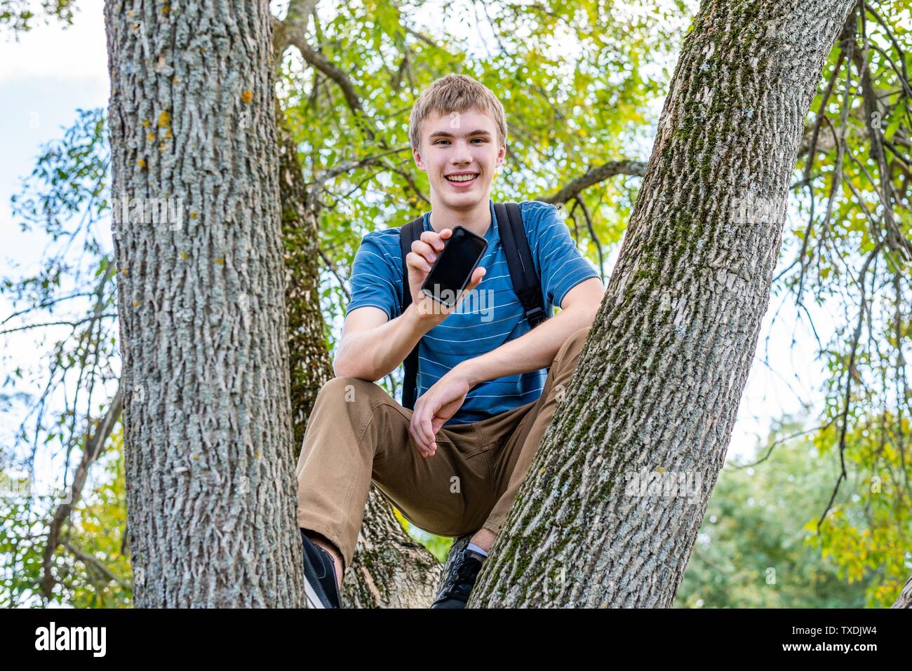 Happy teenager sitting on a tree branch in a park and holding his cell ...