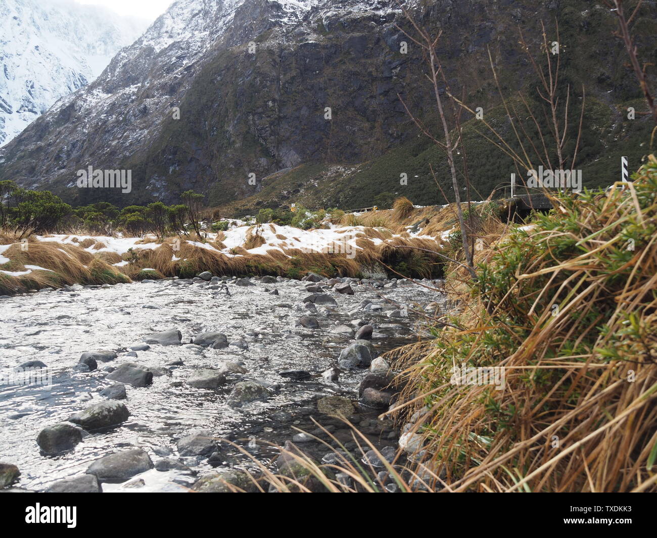 Crisp, fresh water stream flowing through a valley on the Milford Road ...