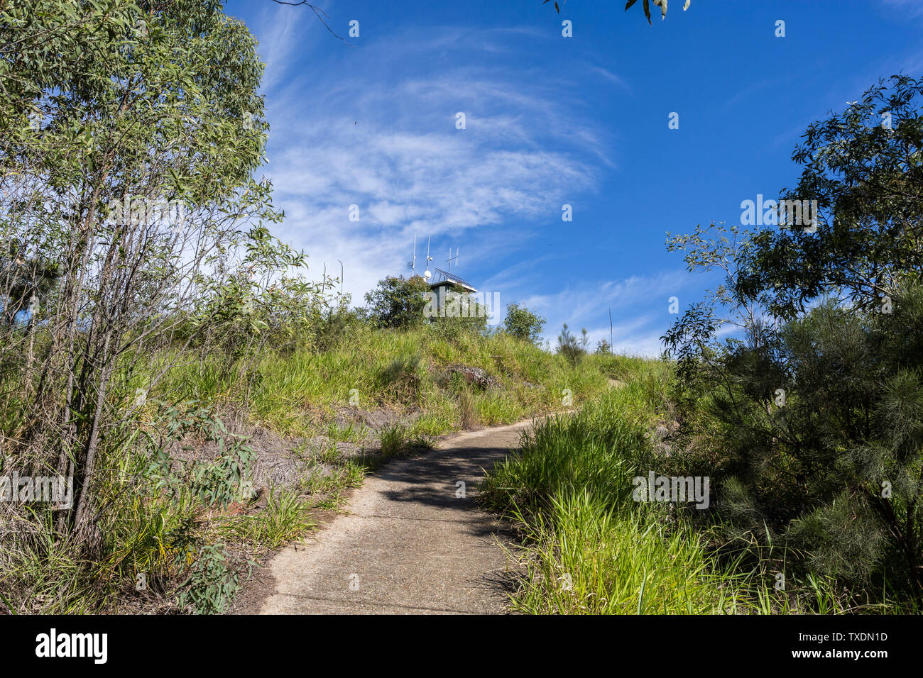 View of the fire tower when arriving at the summit of Mount Beerburrum ...