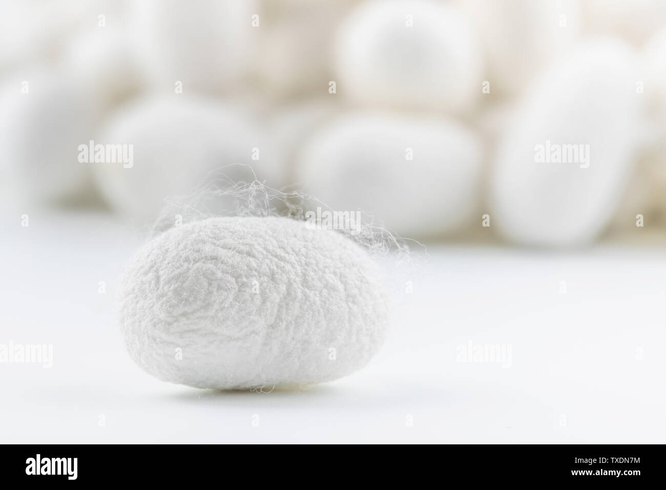 Smooth cocoon hi-res stock photography and images - Alamy