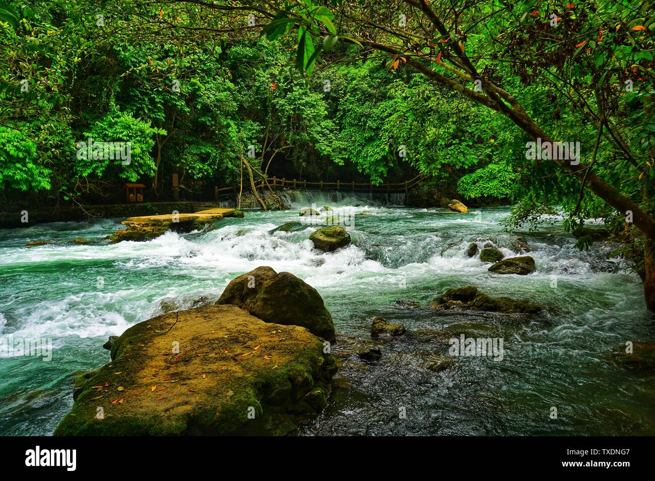 Little seven holes Stock Photo - Alamy