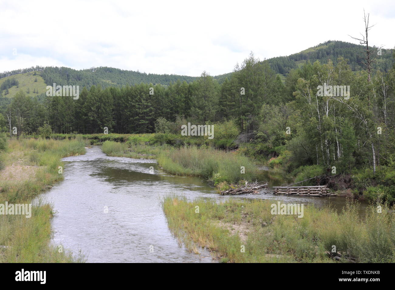 The mordaoga forest park hi-res stock photography and images - Alamy