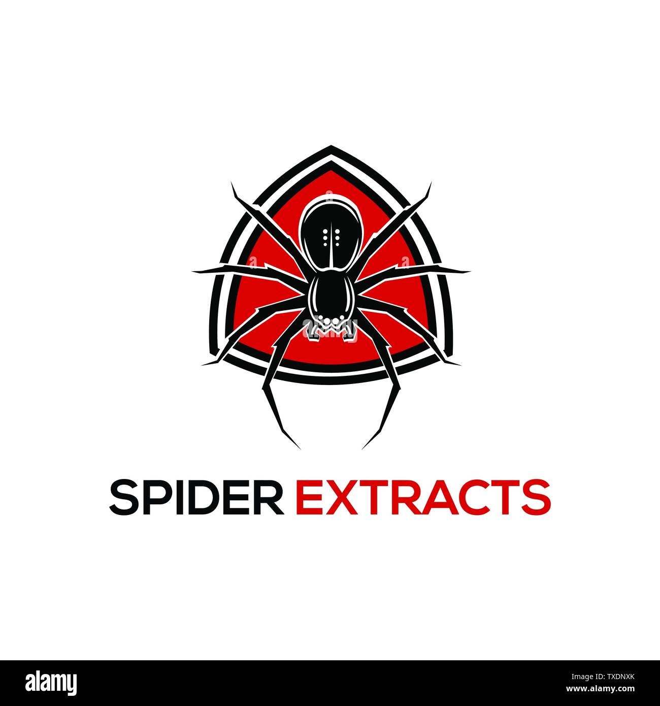 Spider web logo hi-res stock photography and images - Alamy