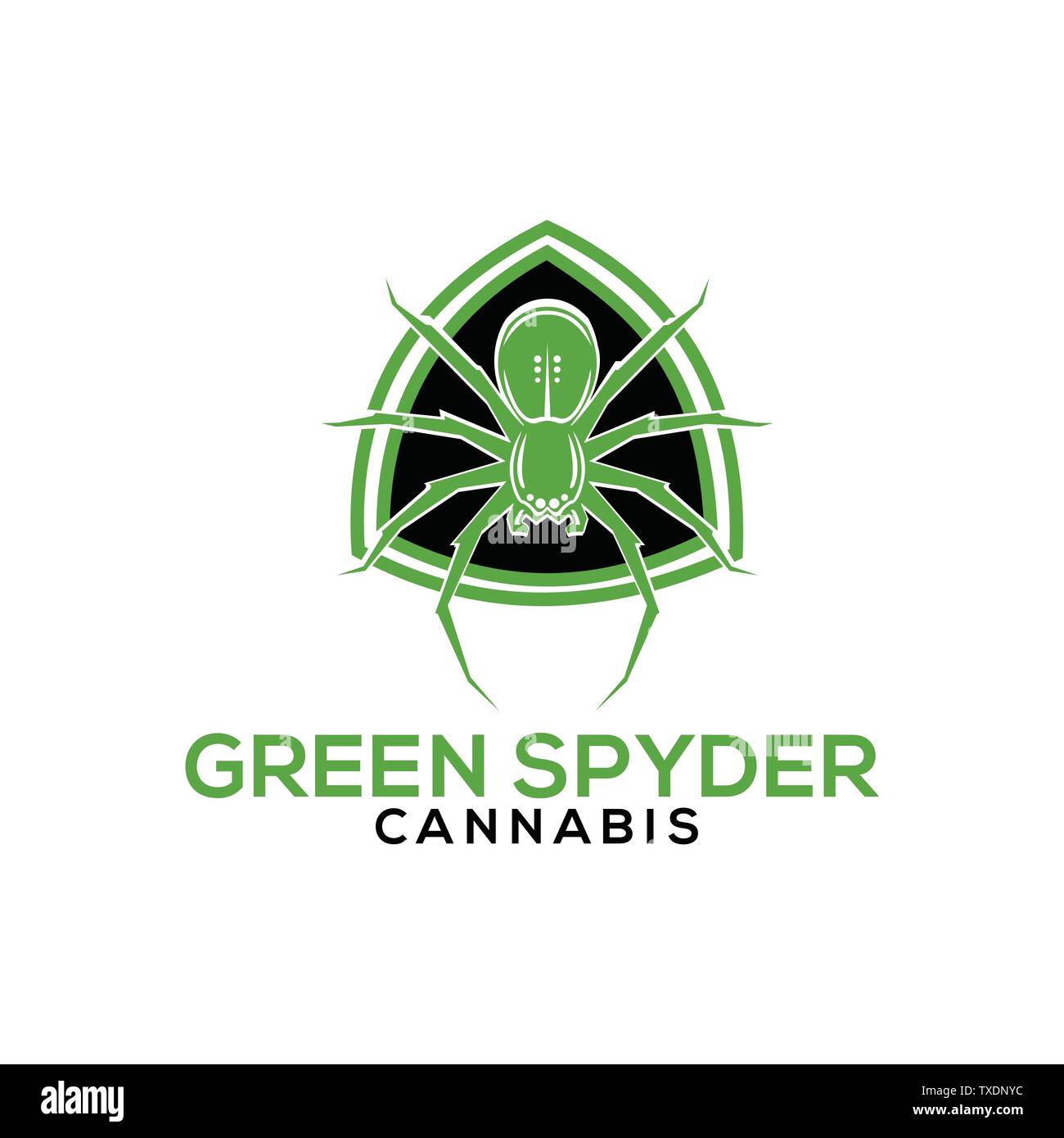 Spider Studio - Logo Template Stock Vector Image & Art - Alamy