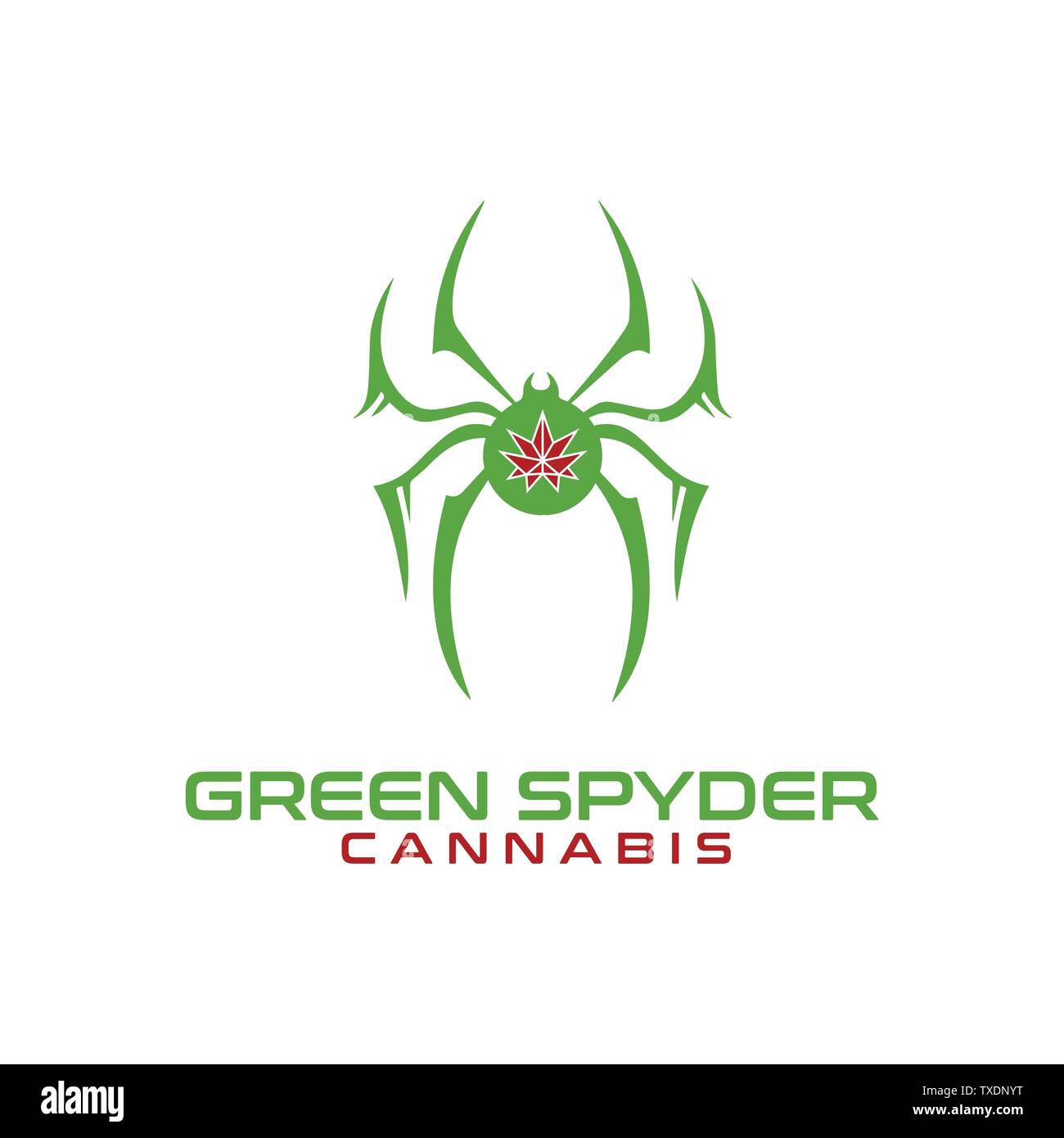 Spider logo and symbols template icons Stock Vector Image & Art - Alamy